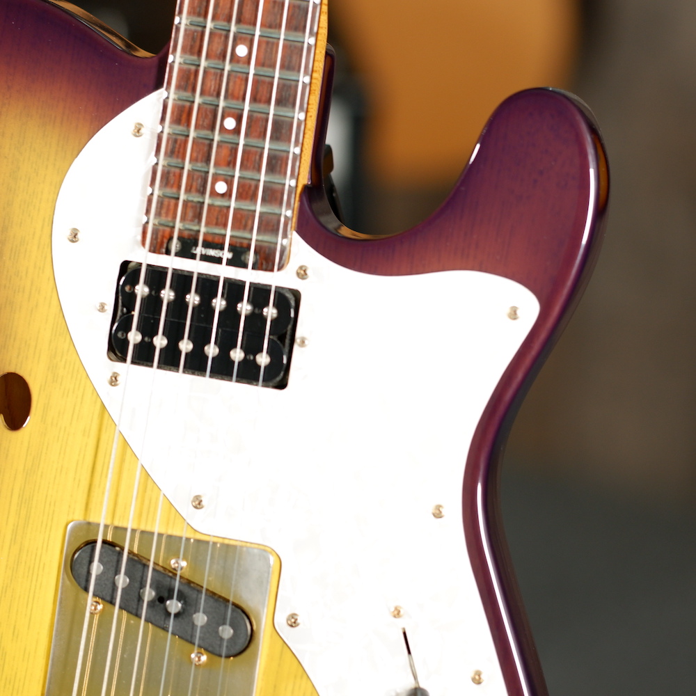 Levinson Blade Delta Thinline MIJ 1992 – Leo & Ted’s Electric Guitars