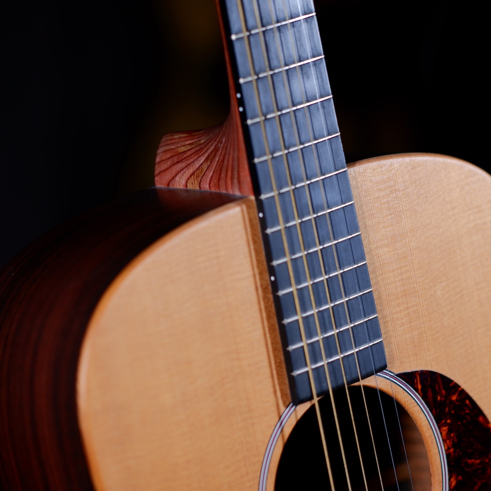 Martin DX1RAE Dreadnought 2012 - Leo & Ted's Electric Guitars